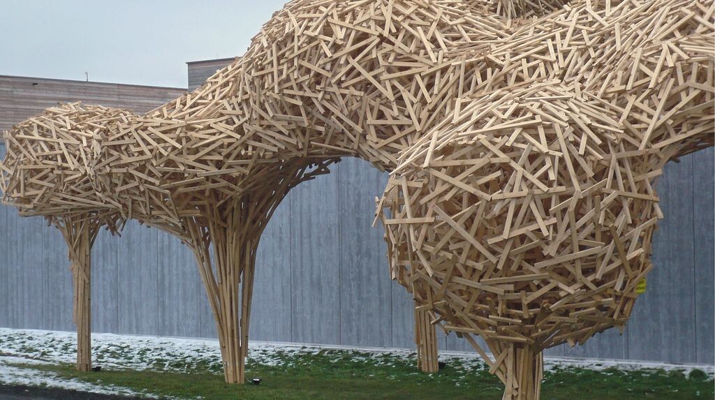 Ein Wald aus Dachlatten - DEGA GARTENBAU - Fachmagazin